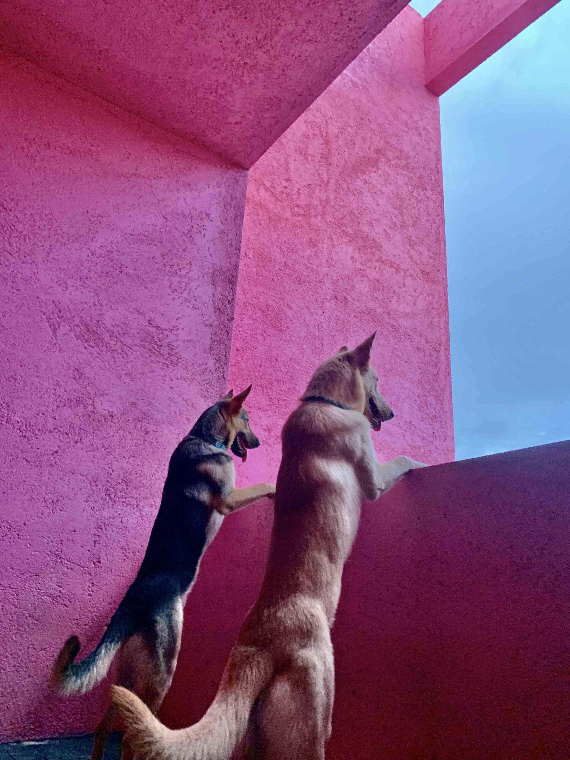 Casa estudio Guerrero | Natural Arquitectos - ARQZON