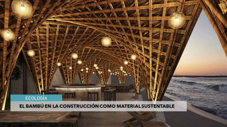El bambú en la construcción como material ecológico - ARQZON